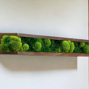Floating Moss Shelves - Etsy UK