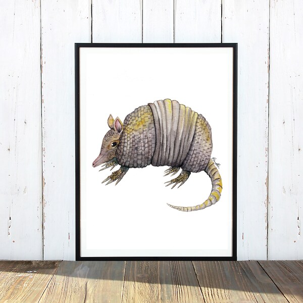 Armadillo Art - Etsy