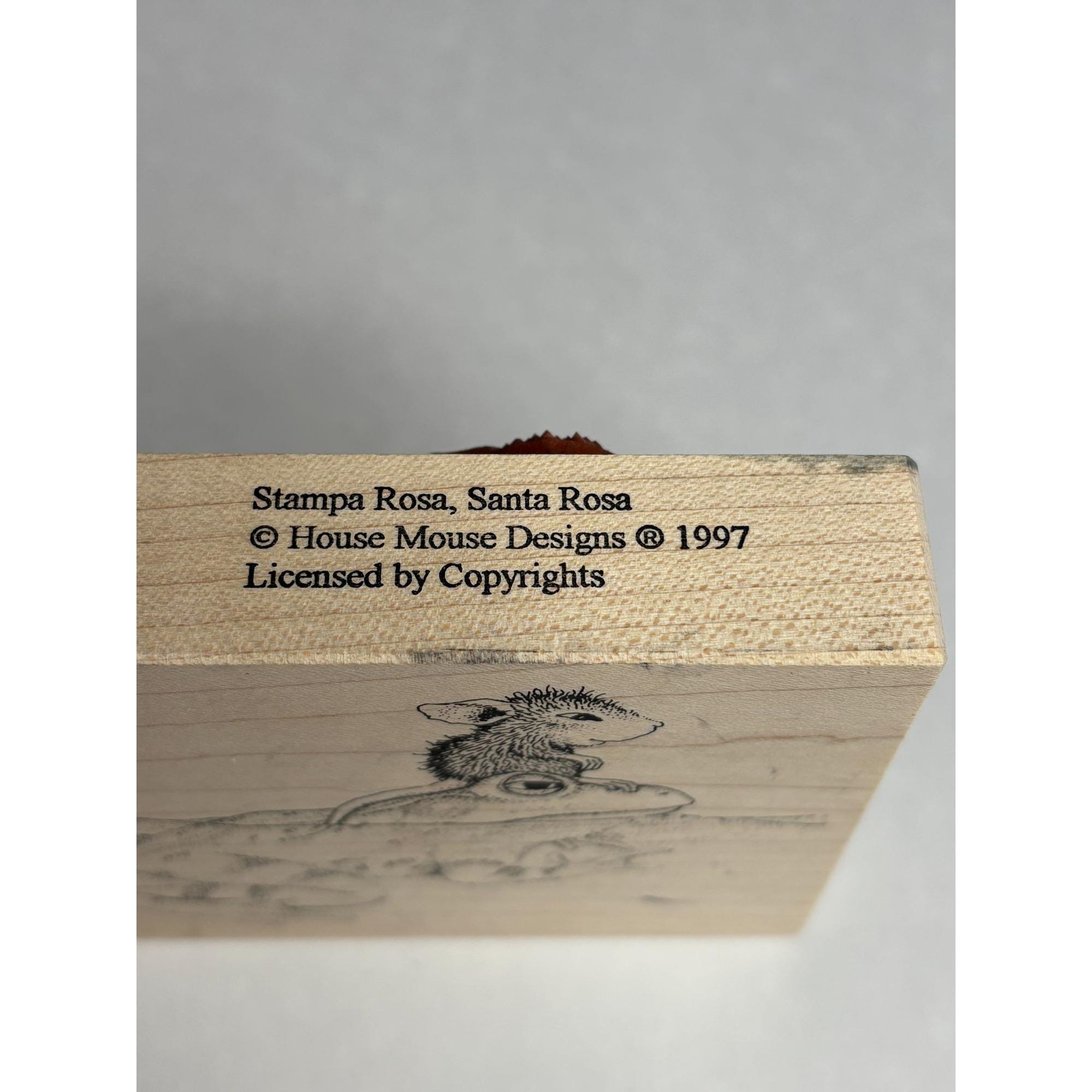 House Mouse Rubber Stamp Frog Floating Stampa Rosa Funny Friendship ...