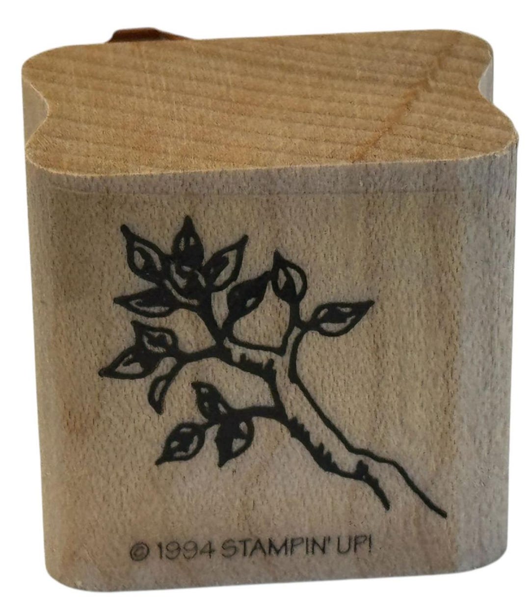 Stampin up Rubber Stamp Tree Branch Nature Spring Leaves Leaf ...