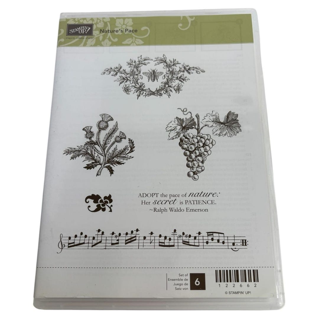 Stampin up Natures Pace Clear Mount Rubber Stamps Grapes Music Border ...