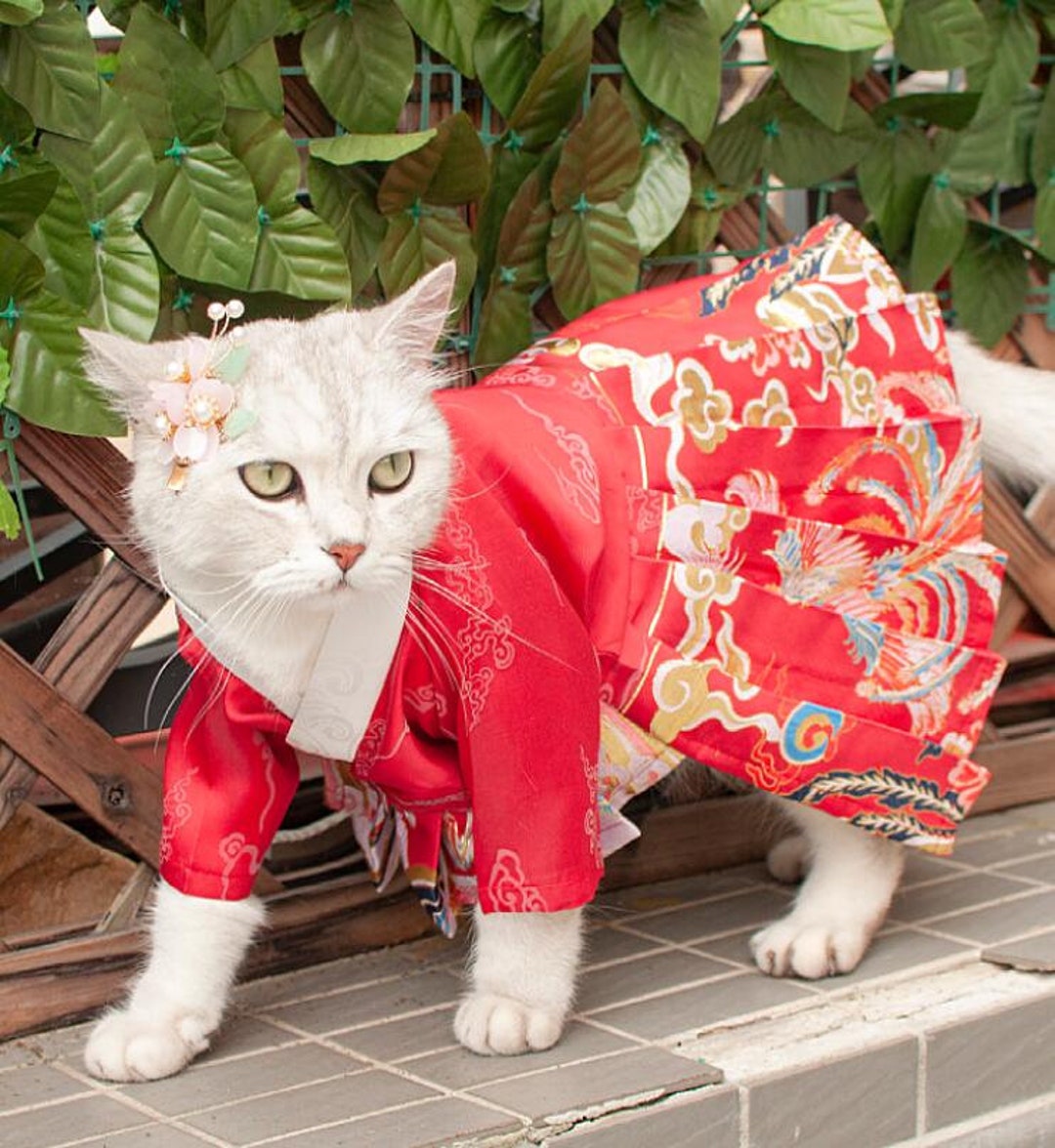 Ancient Chinese Hanfu for Pets Cute Dog/cat Customized - Etsy