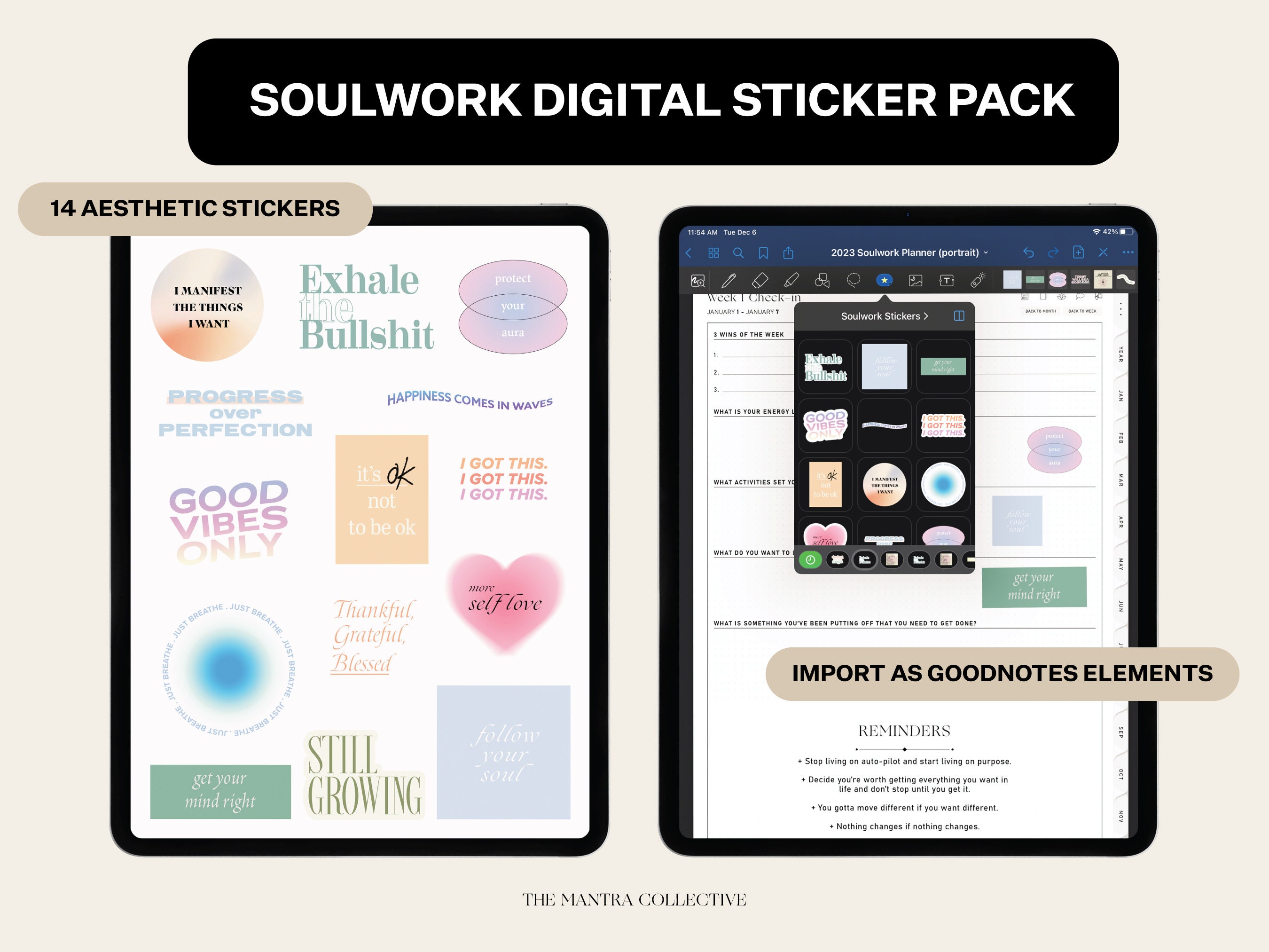 Aesthetic Digital Stickers for Goodnotes Notability iPad - Etsy