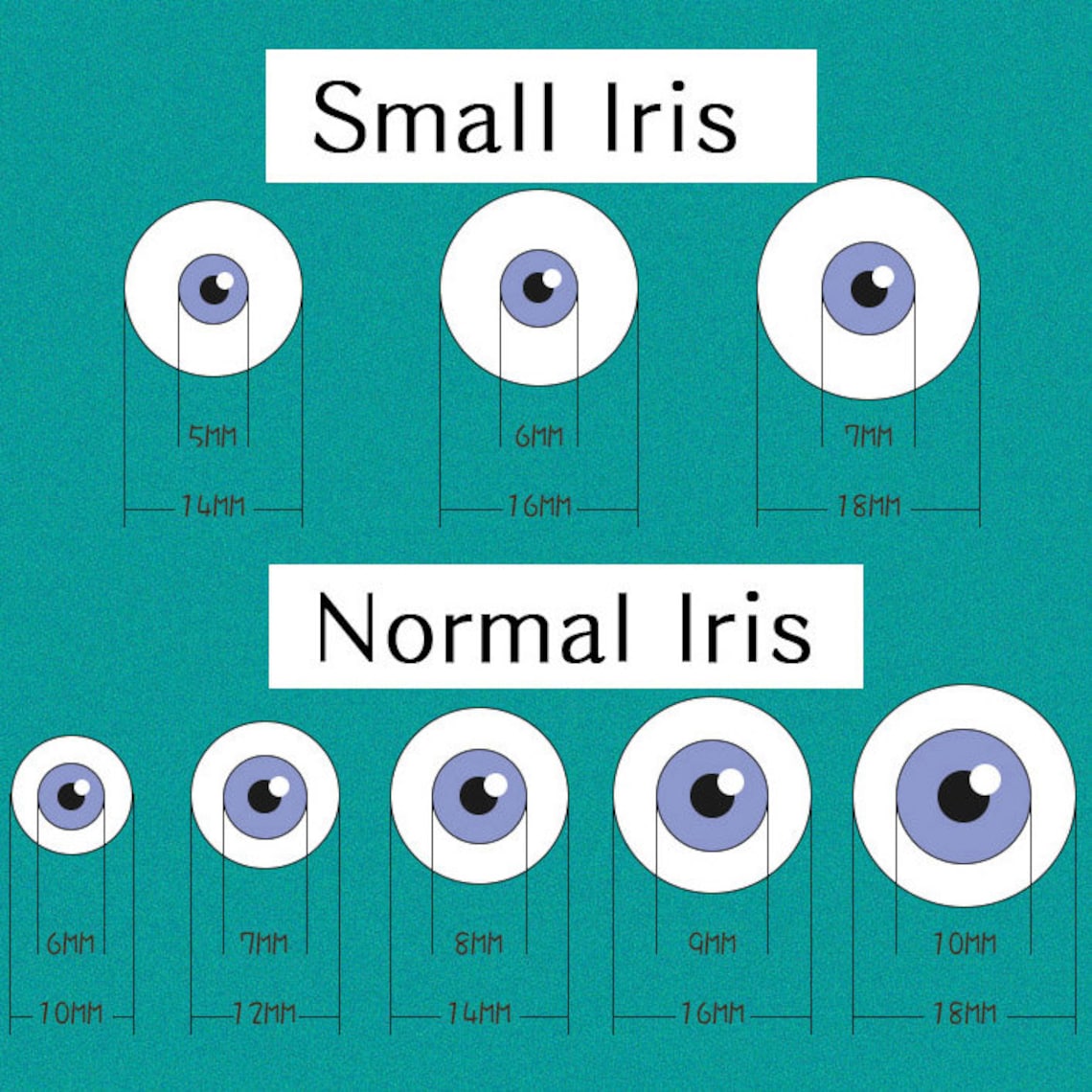 BJD Eyes 16mm 18mm 10mm 12mm 14mm Acrylic Eyes Doll Eyes Lw22 - Etsy