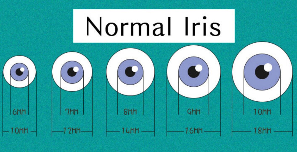 BJD Acrylic Eyes 14mm 16mm 18mm 10mm 12mm Normal Iris Doll - Etsy