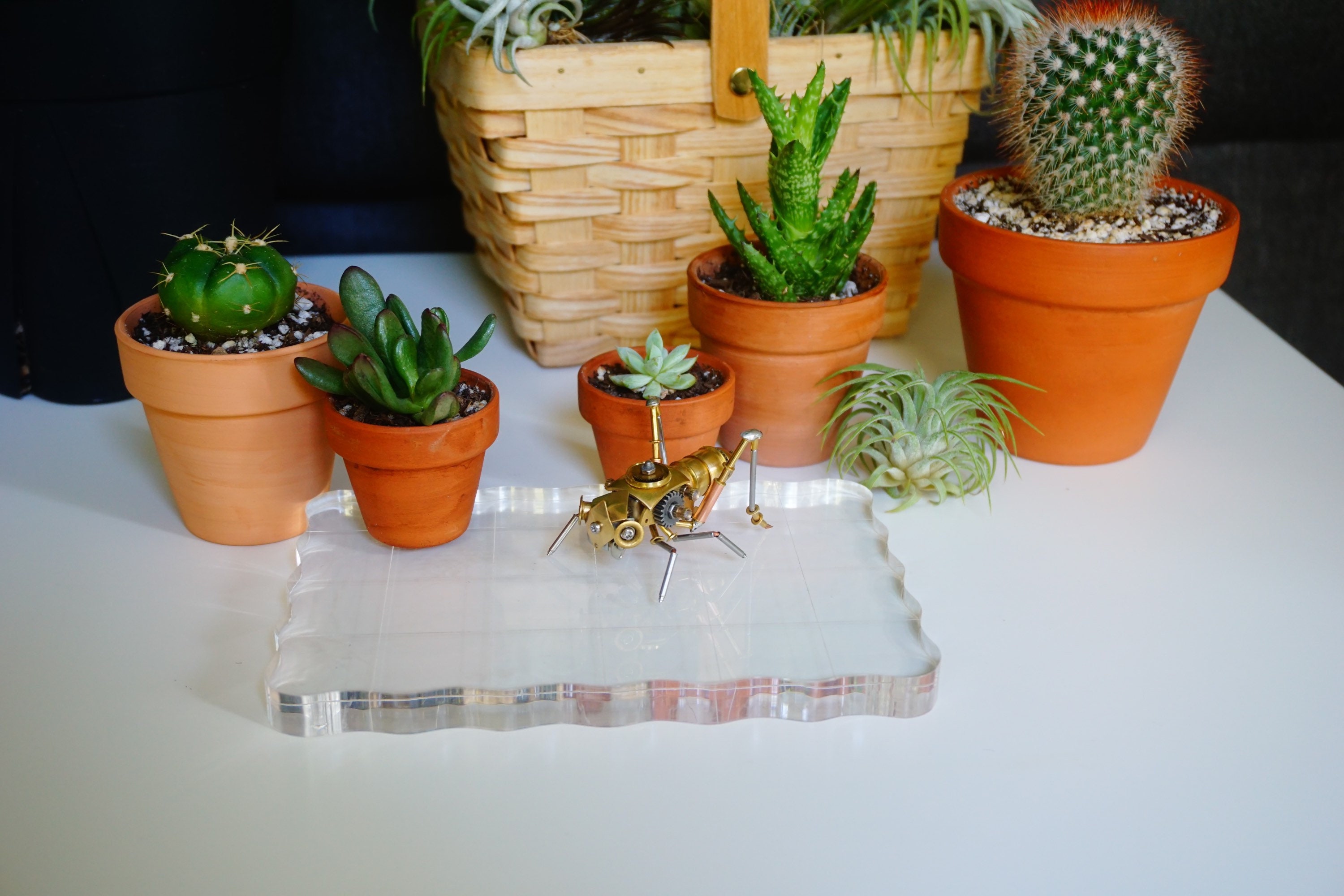 CRICKET Steampunk/ Iron Bug/ Metal Insect | Etsy