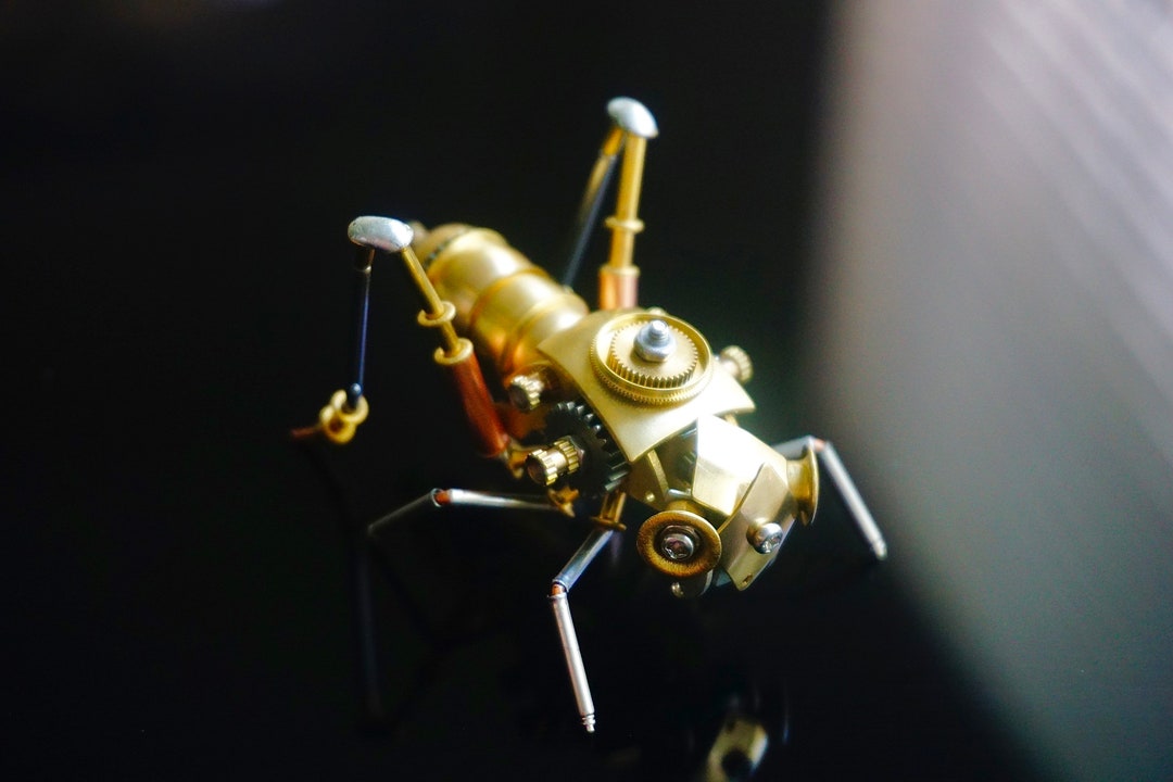 CRICKET - Steampunk/ Iron Bug/ Metal Insect - Etsy