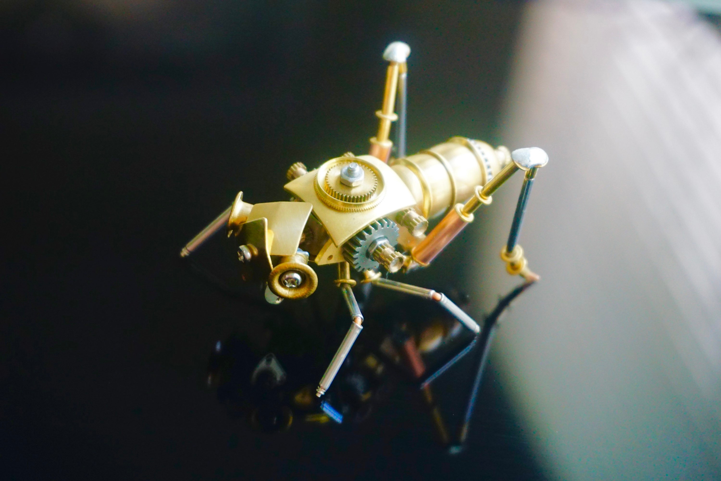 CRICKET Steampunk/ Iron Bug/ Metal Insect | Etsy