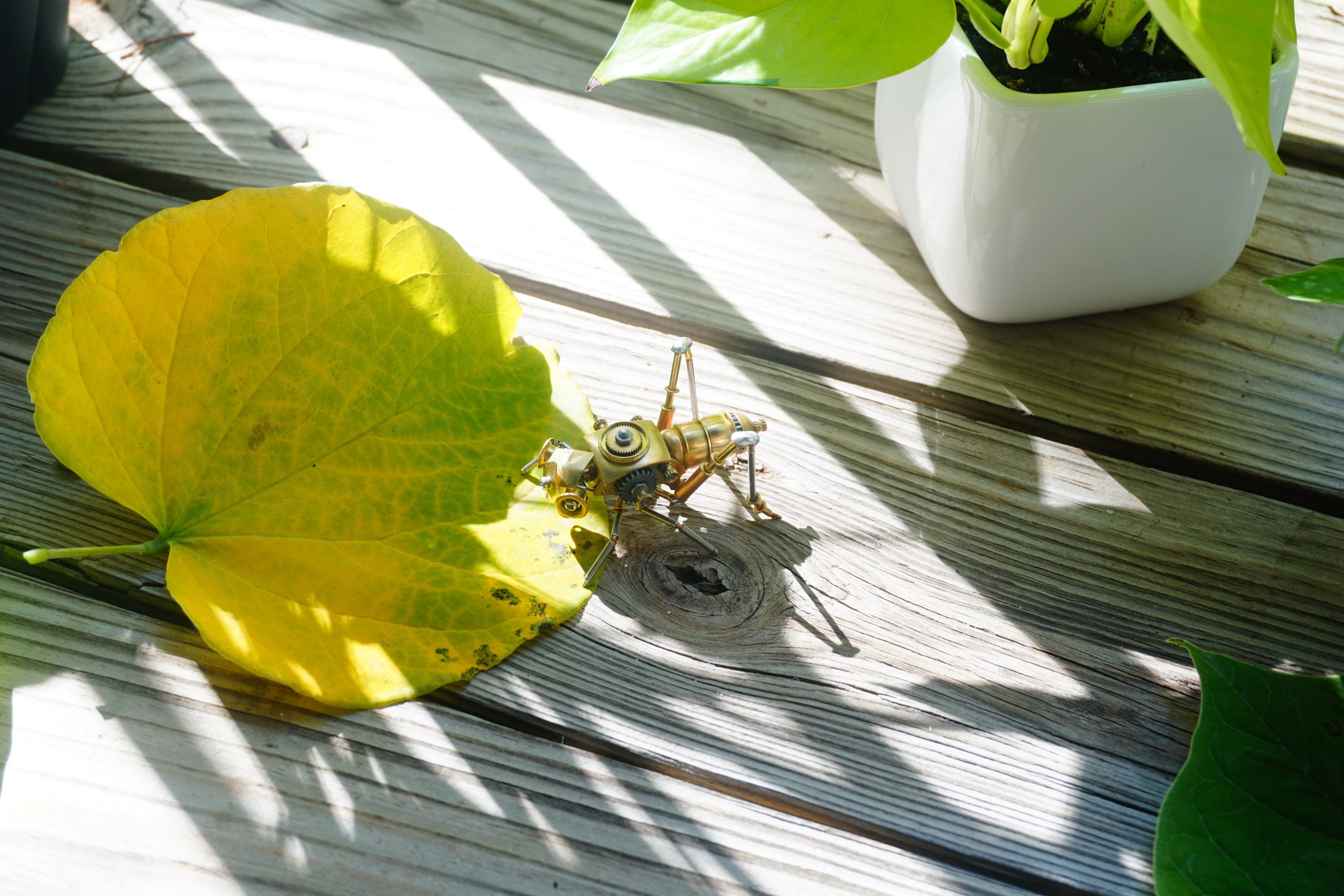 CRICKET Steampunk/ Iron Bug/ Metal Insect | Etsy