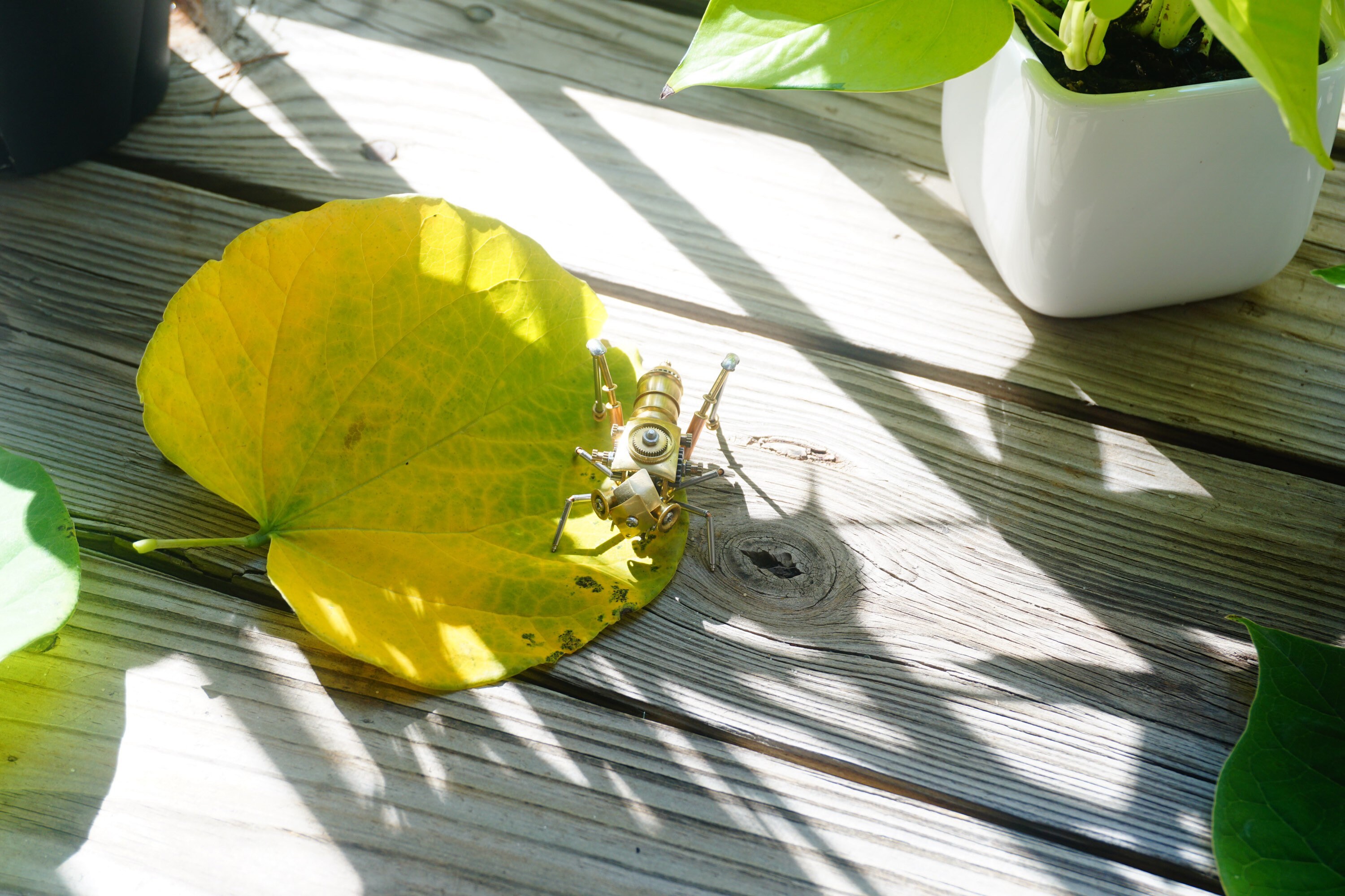 CRICKET Steampunk/ Iron Bug/ Metal Insect | Etsy