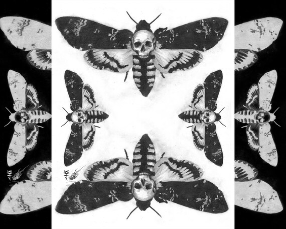 Death Moth Horror Print Art by Justis Laww | Etsy