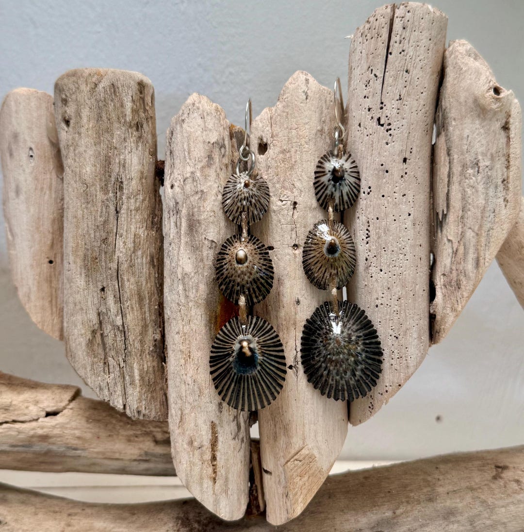 Hawaiian Opihi Limpet Earrings Sterling Silver Dangle Jewelry Beachy ...