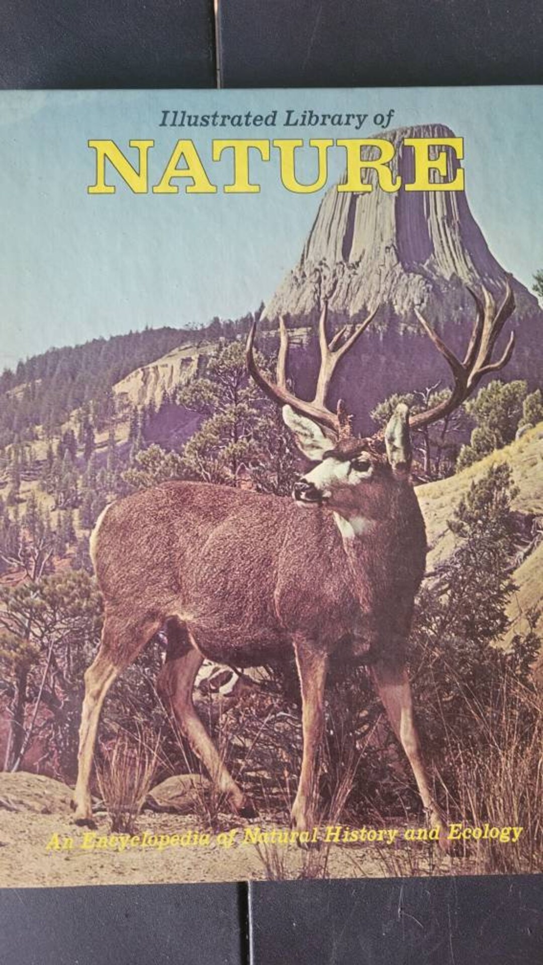 1971 Illustrated Library of Nature Volume 2 Hardcover - Etsy