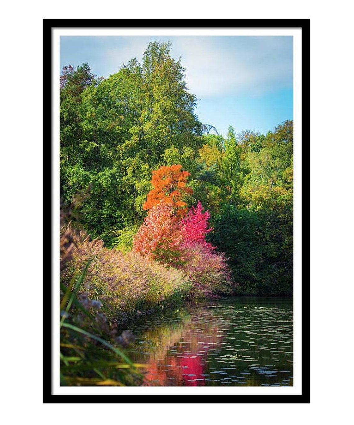 Idyllic Landscape, NOT FRAMED, Nature, Trees, Wall Art, Print, Home ...