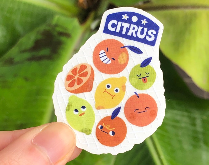 SVG Lace Mini Album SVG Files, PDF Instructions, Video Tutorials - Etsy