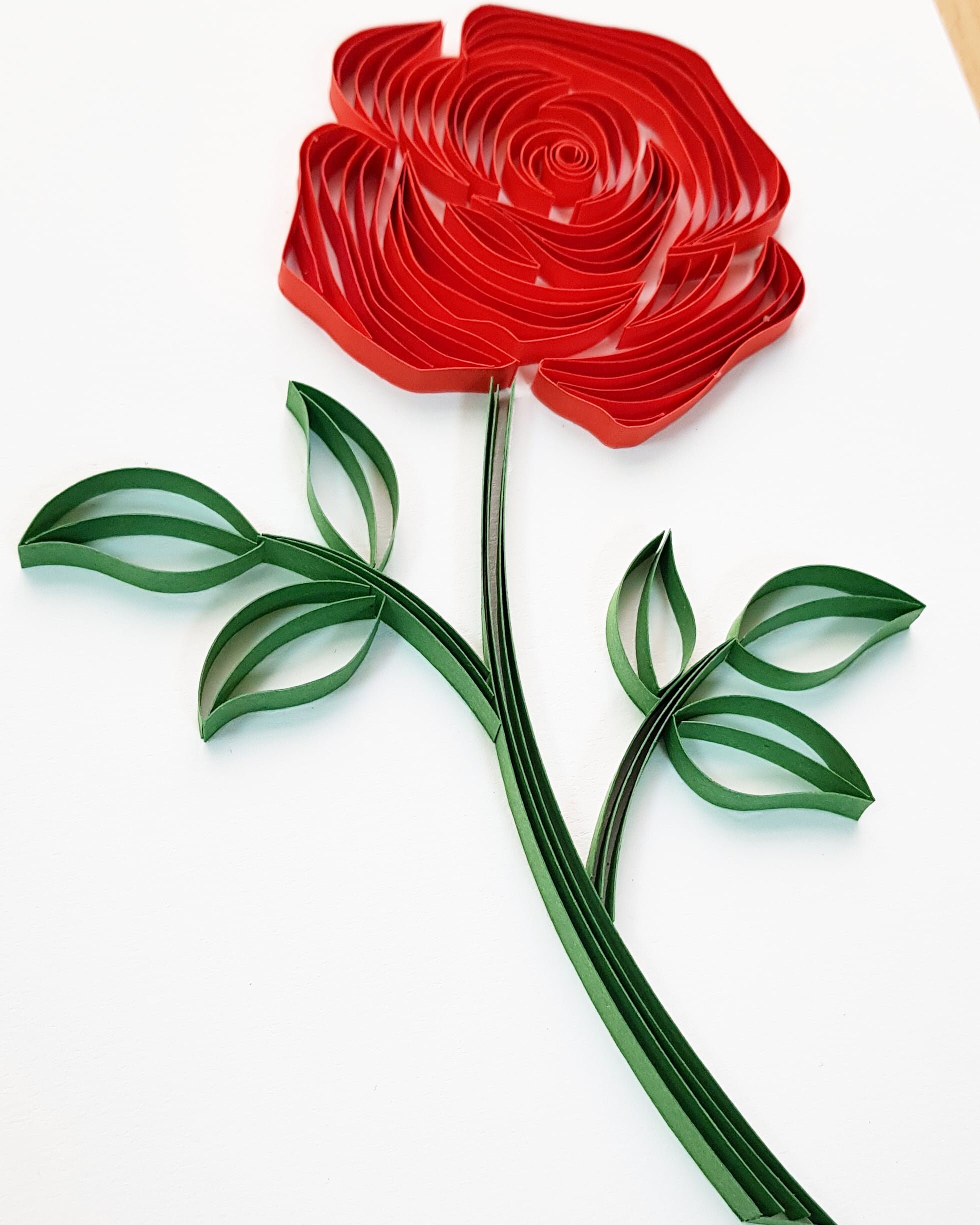 Red Rose Flower Art Botanical Art Red Rose Wall Art Wall | Etsy