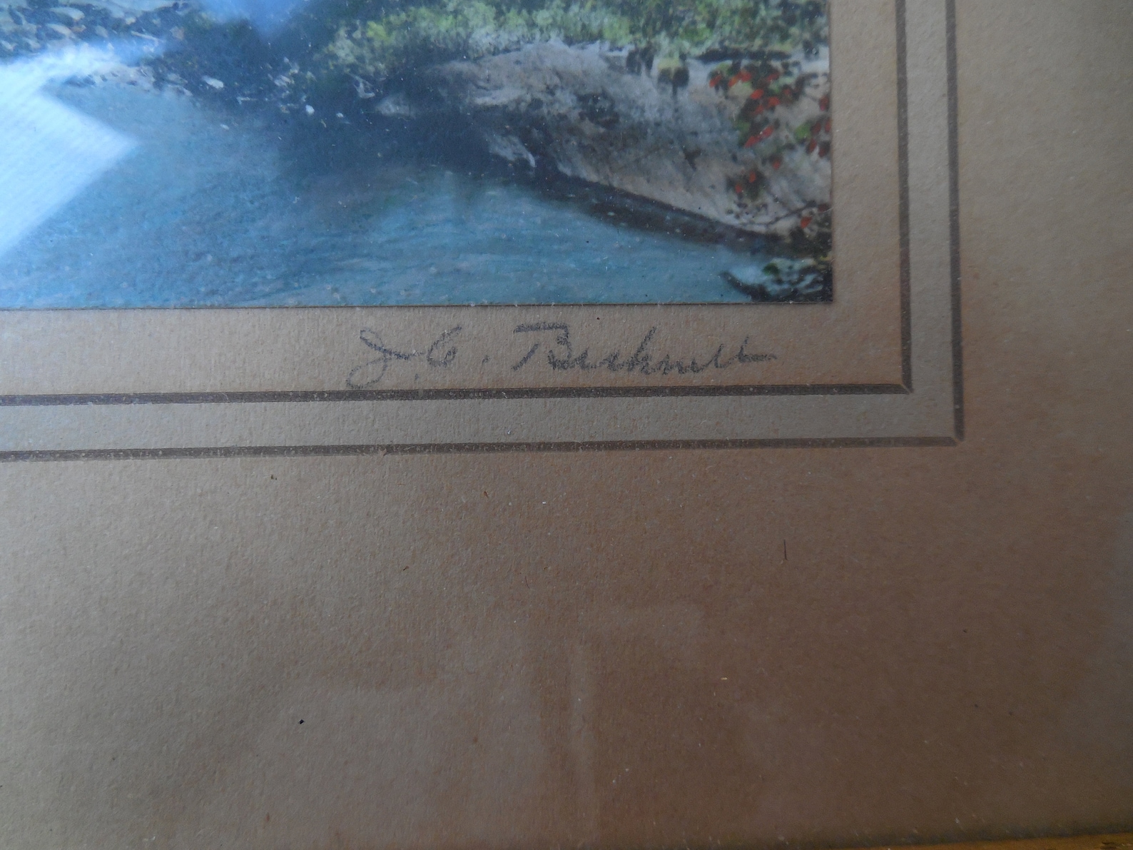 Rare J.C. Bicknell Colored photograph of New England Salmon | Etsy