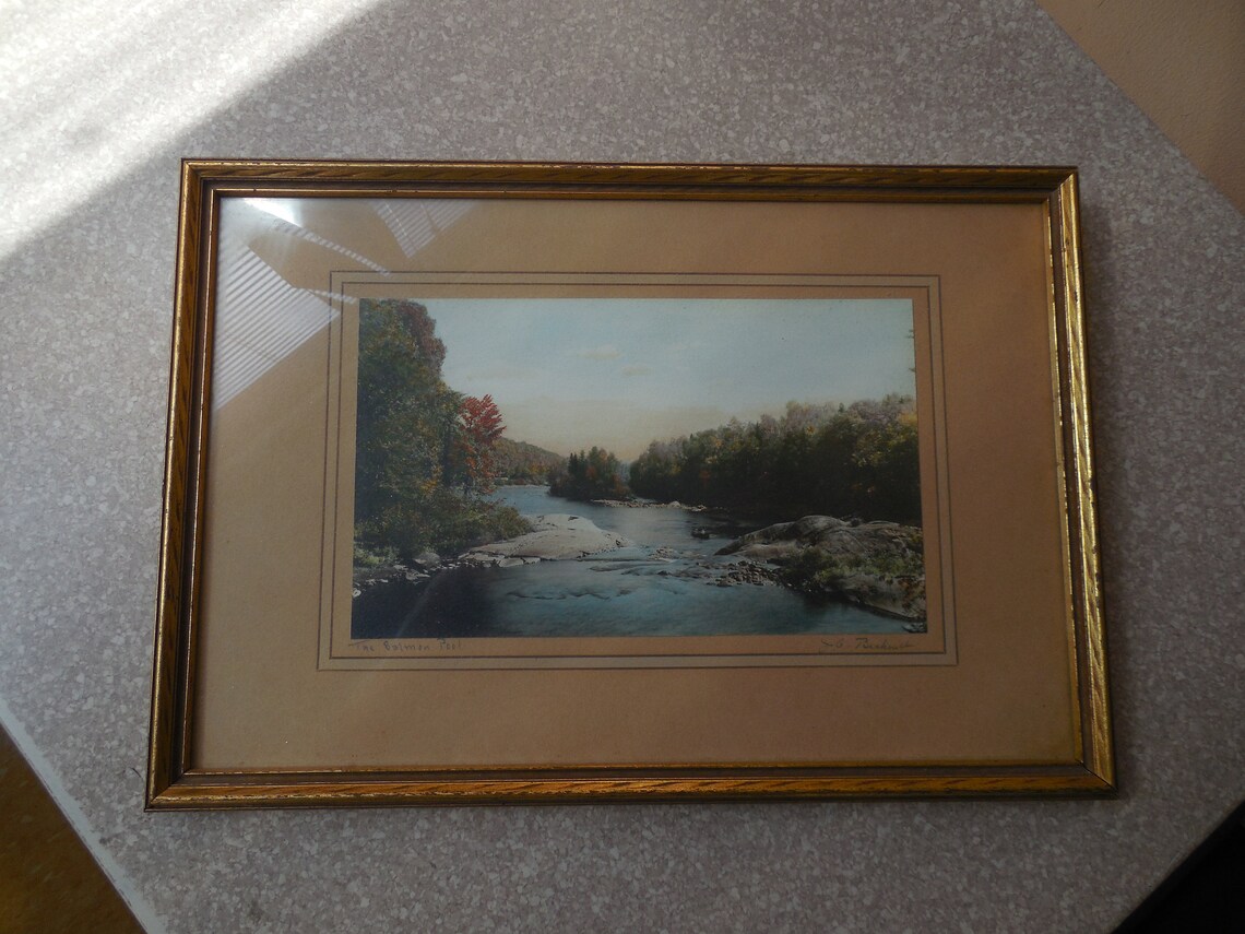 Rare J.C. Bicknell Colored photograph of New England Salmon | Etsy