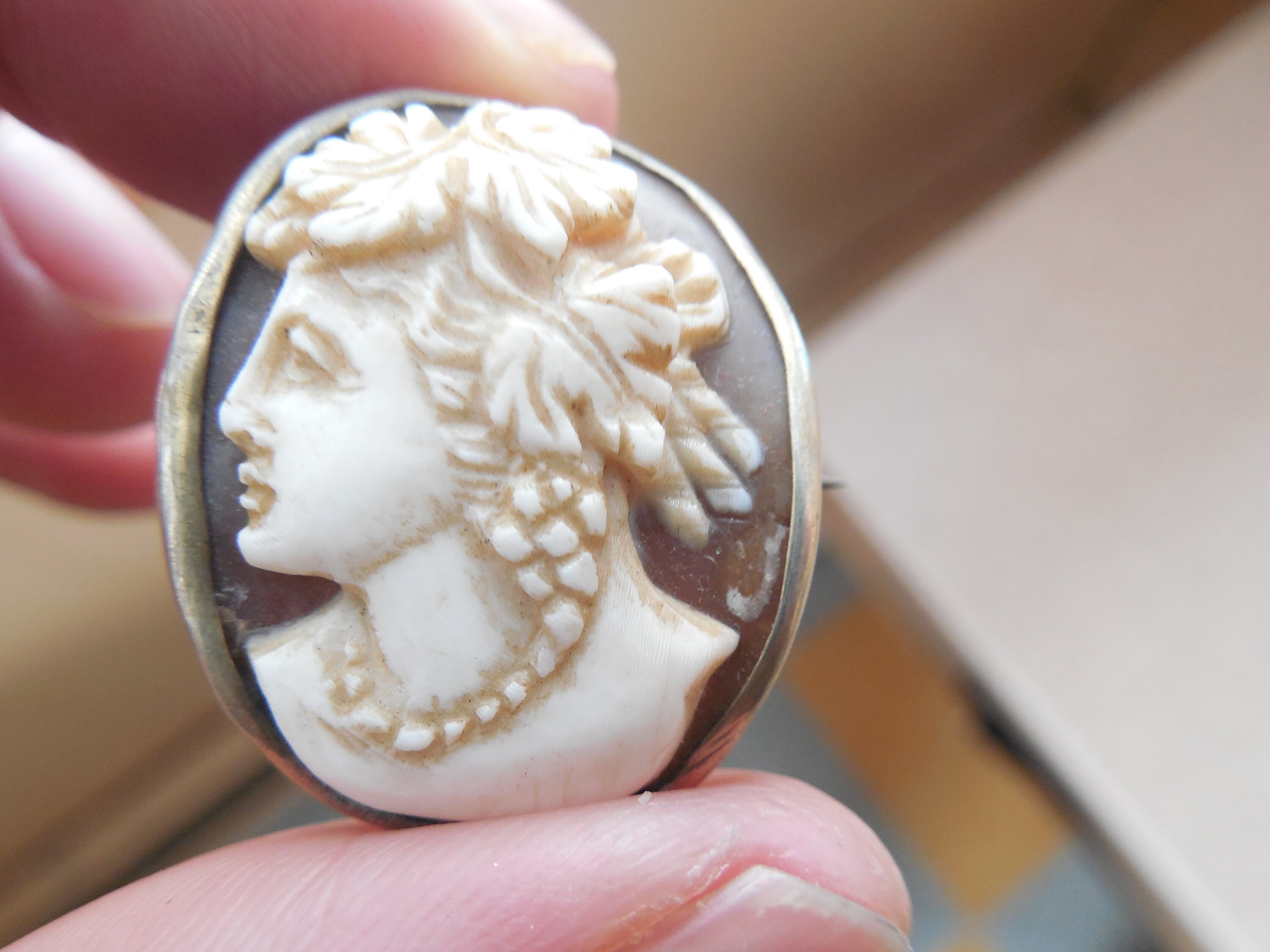 Very Early Grand Tour Italian Cameo of Bacchus Shell Cameo With Early ...