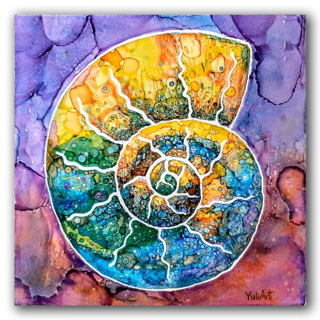 Decorative Ceramic Tile ammonite - Etsy