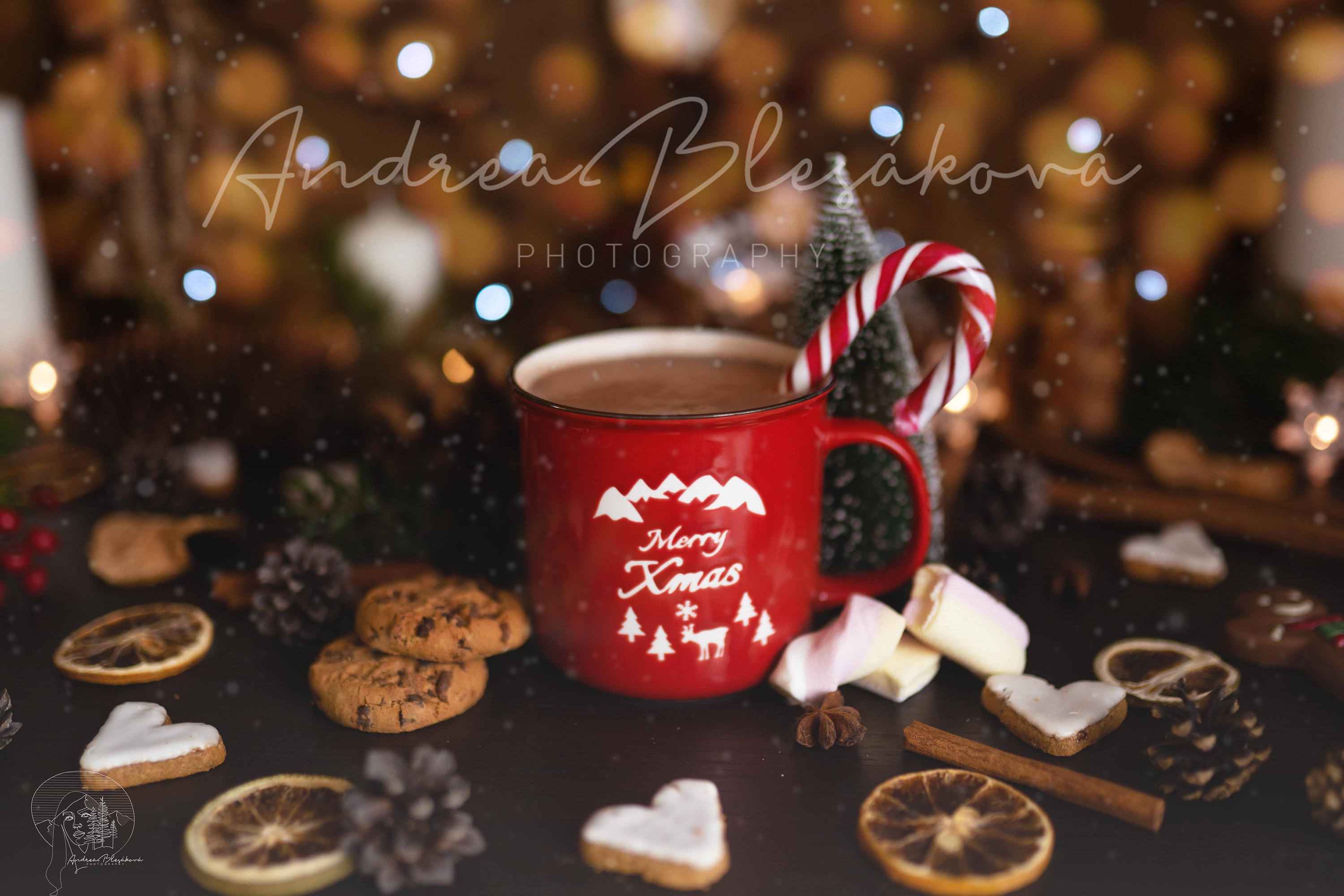Christmas Mug Cup of Hot Chocolate Digital Backdrop - Etsy