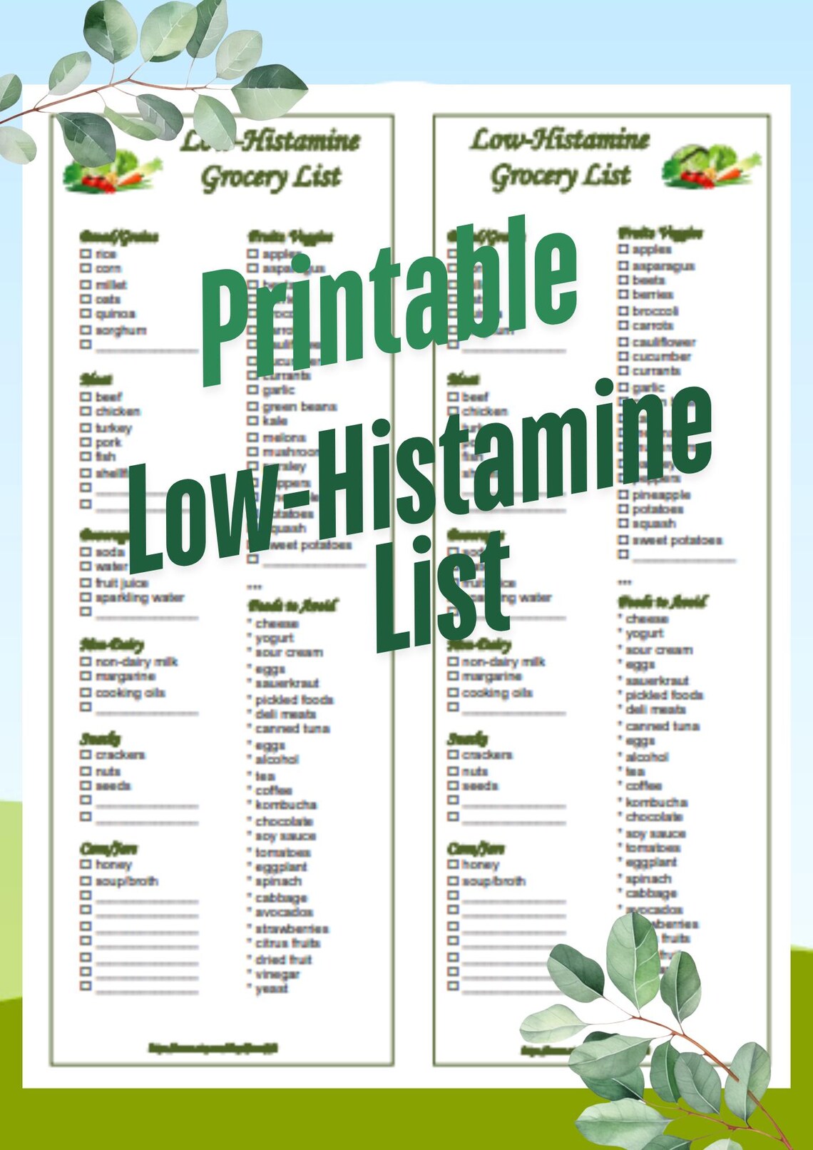 Low-histamine Printable Grocery Food List Instant Download 2 in 1 PDF ...