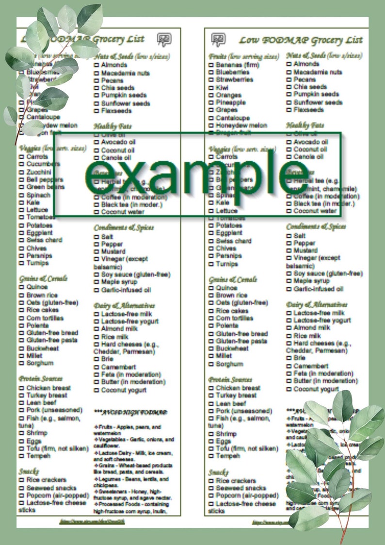 Low FODMAP Editable Grocery List Printable Foods Instant Download 2 in ...