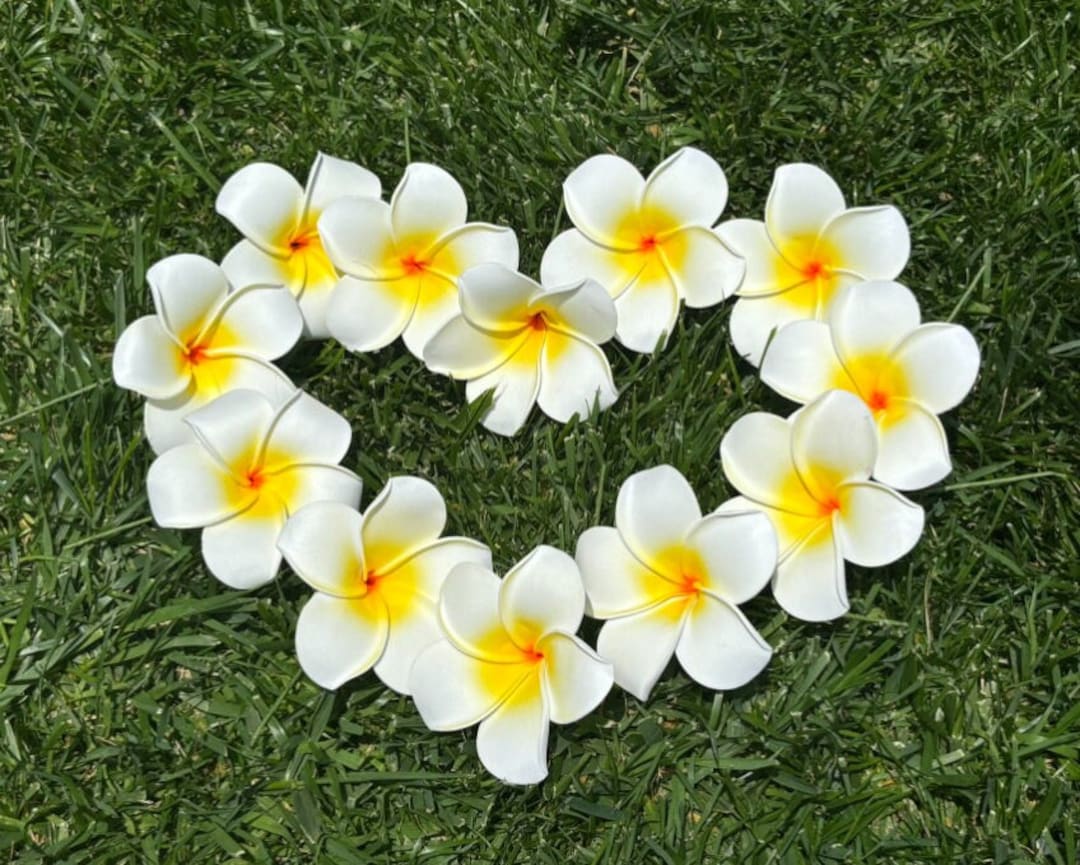 Hawaiian White Plumeria Hair Pick Tropical Accessory Beach Luau Foam ...