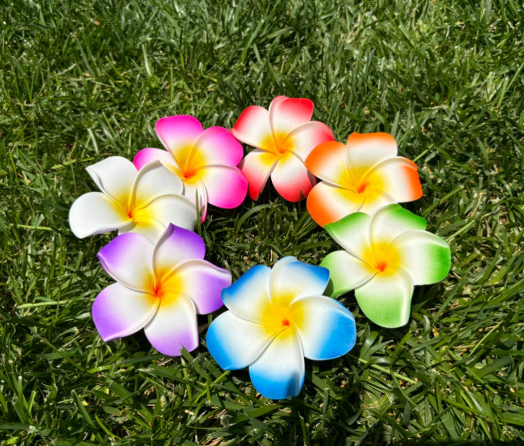 Hawaiian Plumeria Hair Pick Multicolored Tropical Accessory Beach Luau ...