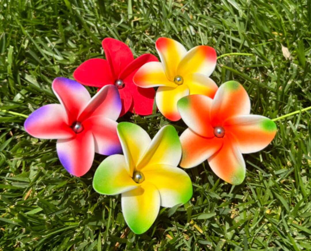 Hawaiian Tropical Hair Pick Design Plumeria Multicolored Accessory ...