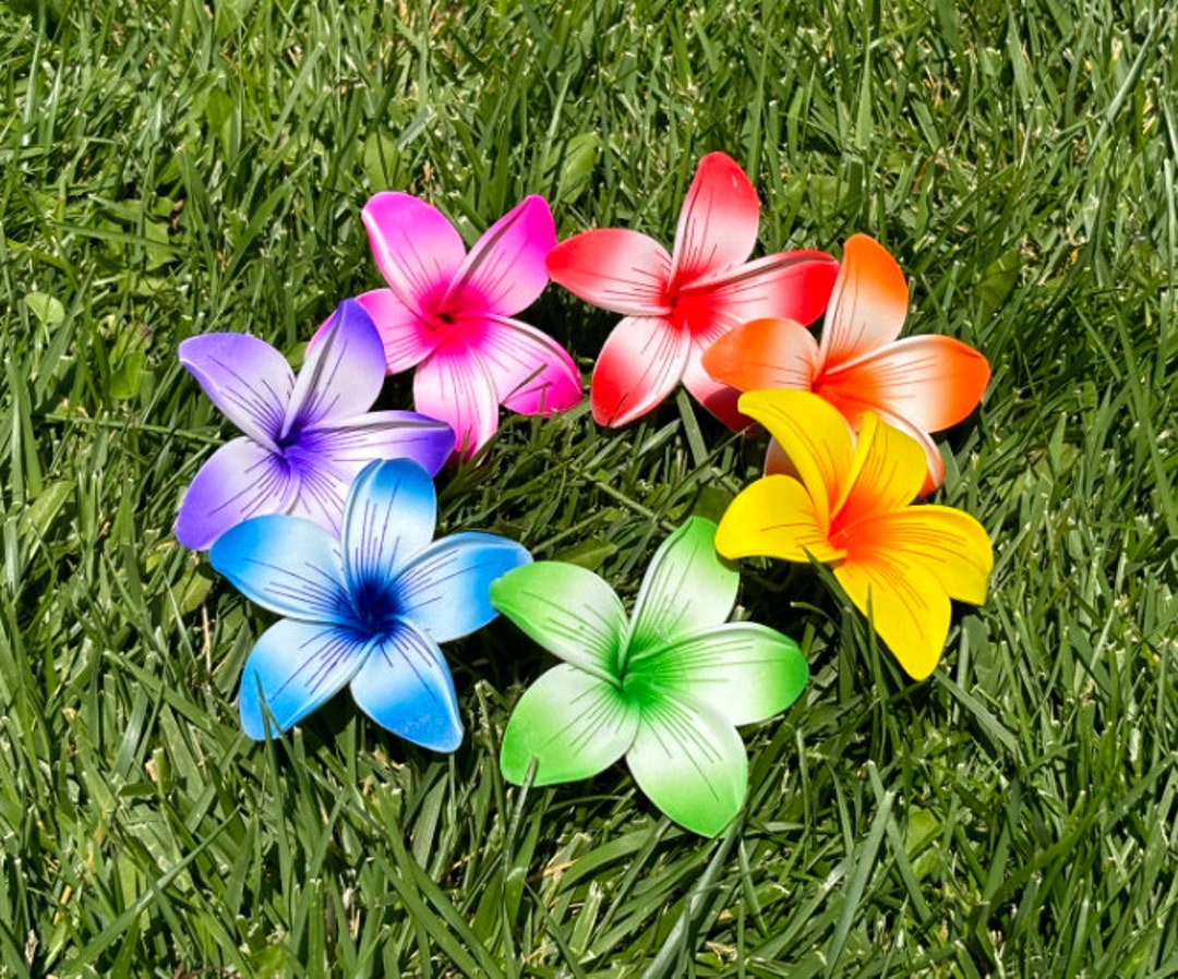 Hawaiian Plumeria Multicolored Tropical Hair Pick Accessory Beach Luau ...
