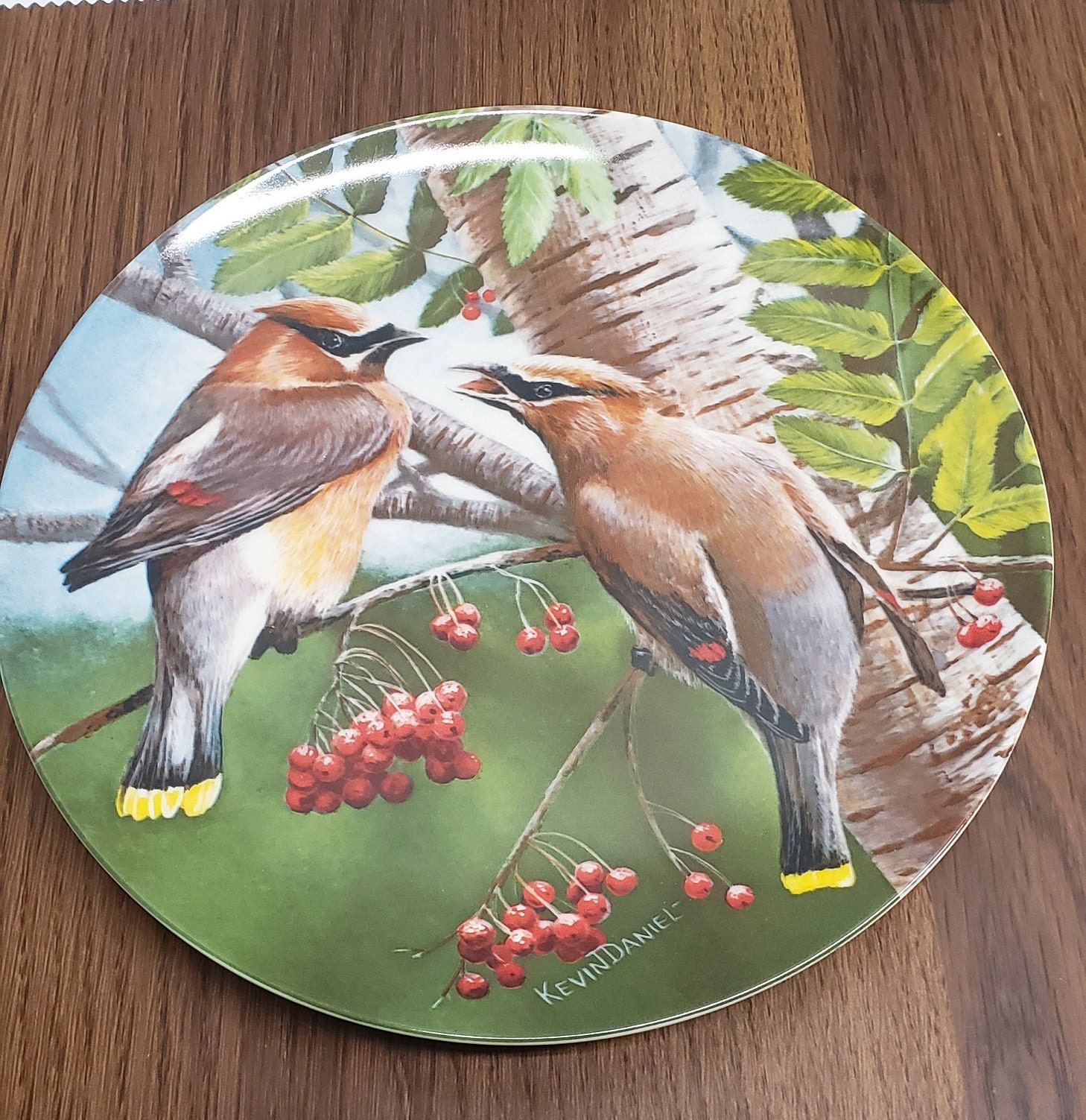 Birds of Your Garden Collector Plate Series by Encyclopedia Britannica ...
