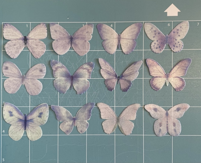 Lavender Purple Edible 3D Wafer Paper Butterflies28 Pre-cut - Etsy