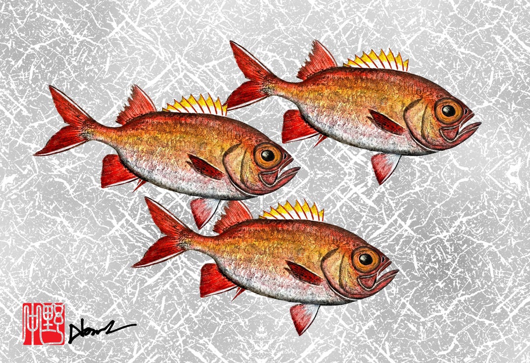 Menpachi (soldierfish) Gyotaku Fish-print - Etsy