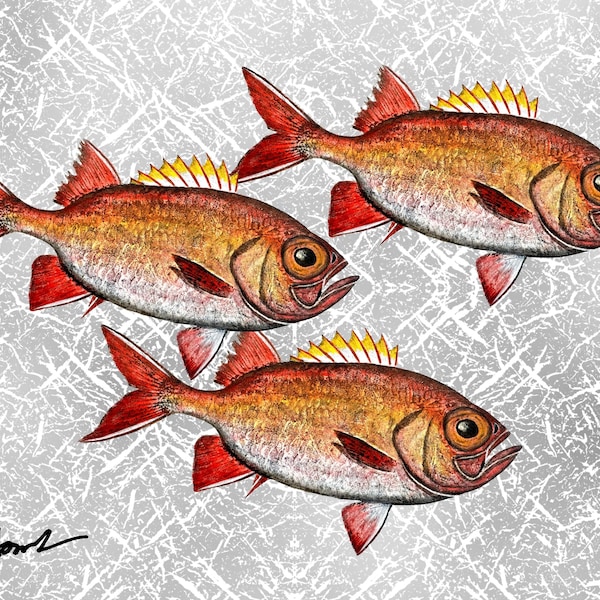 Gyotaku Fish Print - Etsy