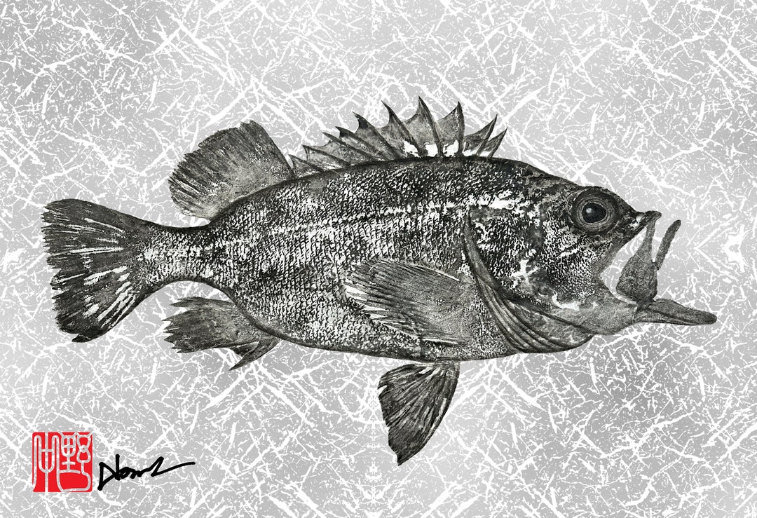 Rockfish Gyotaku Fish-print - Etsy