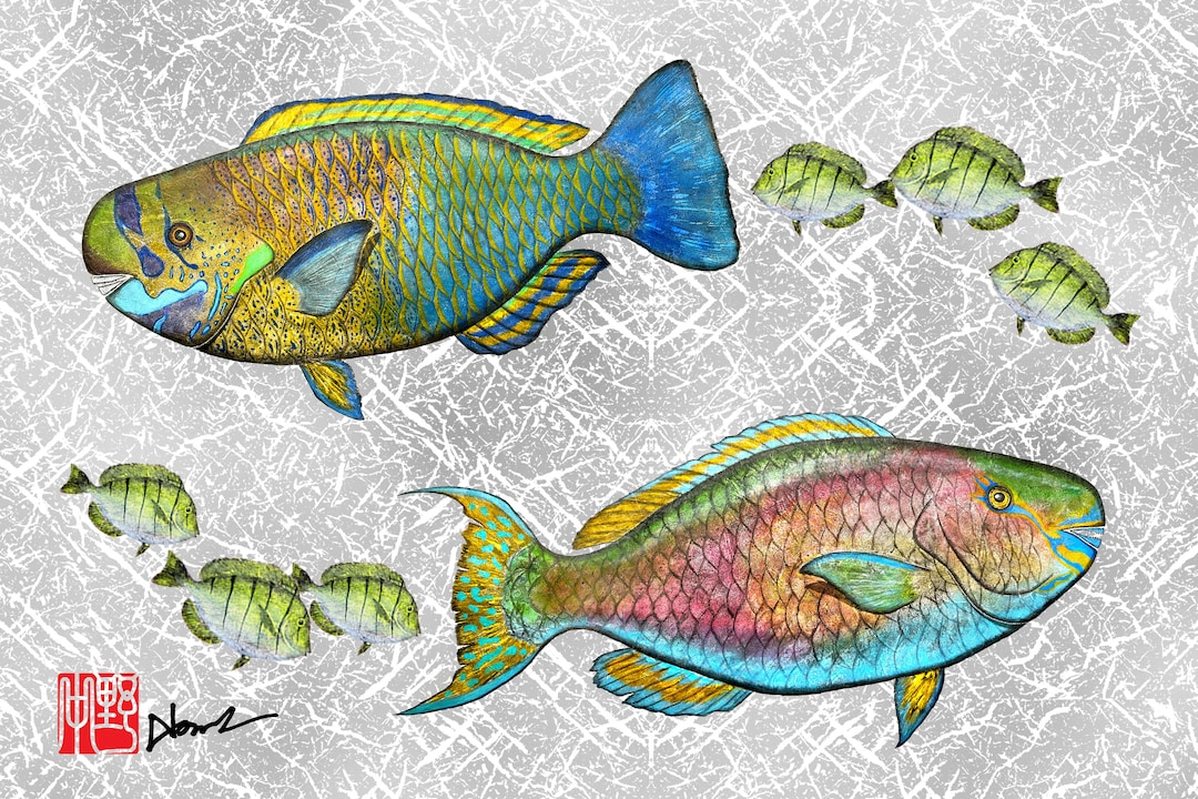 Parrotfish and Manini Gyotaku Fish-print - Etsy