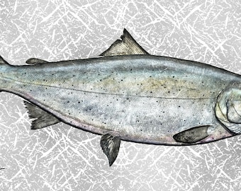 Trout & Fly - Fly Fishing - GYOTAKU Print - Traditional Japanese Fish ...