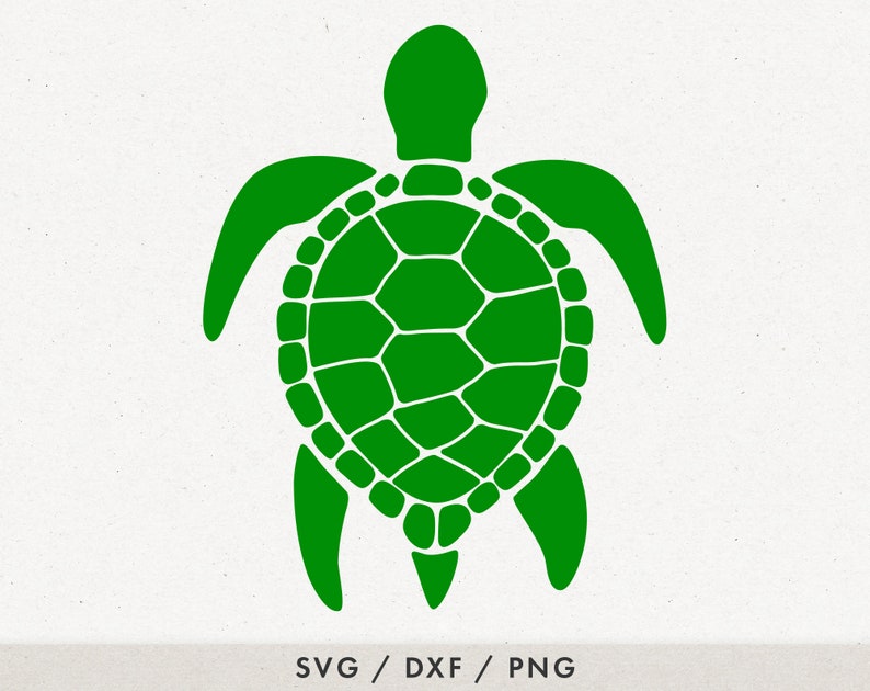 SEA TURTLE SVG Turtle Clipart Turtle Cut File Cricut | Etsy