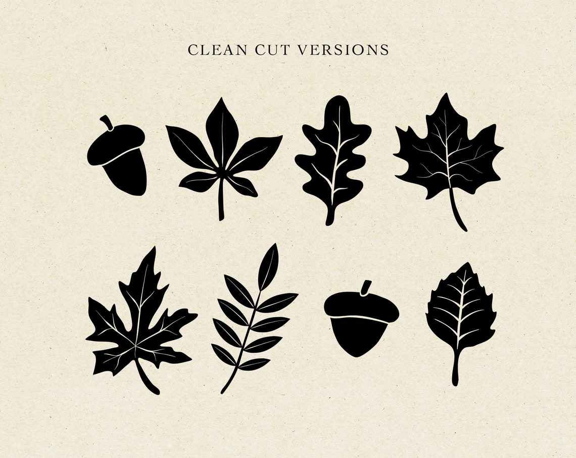 LEAF SVG Fall Leaves Svg Leaf Bundle Svg Cricut Fall - Etsy