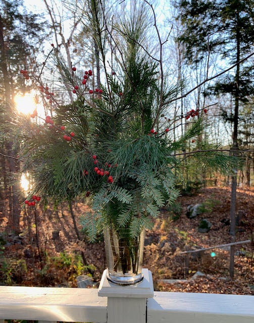 Mixed Fresh Evergreen Bundle - Etsy