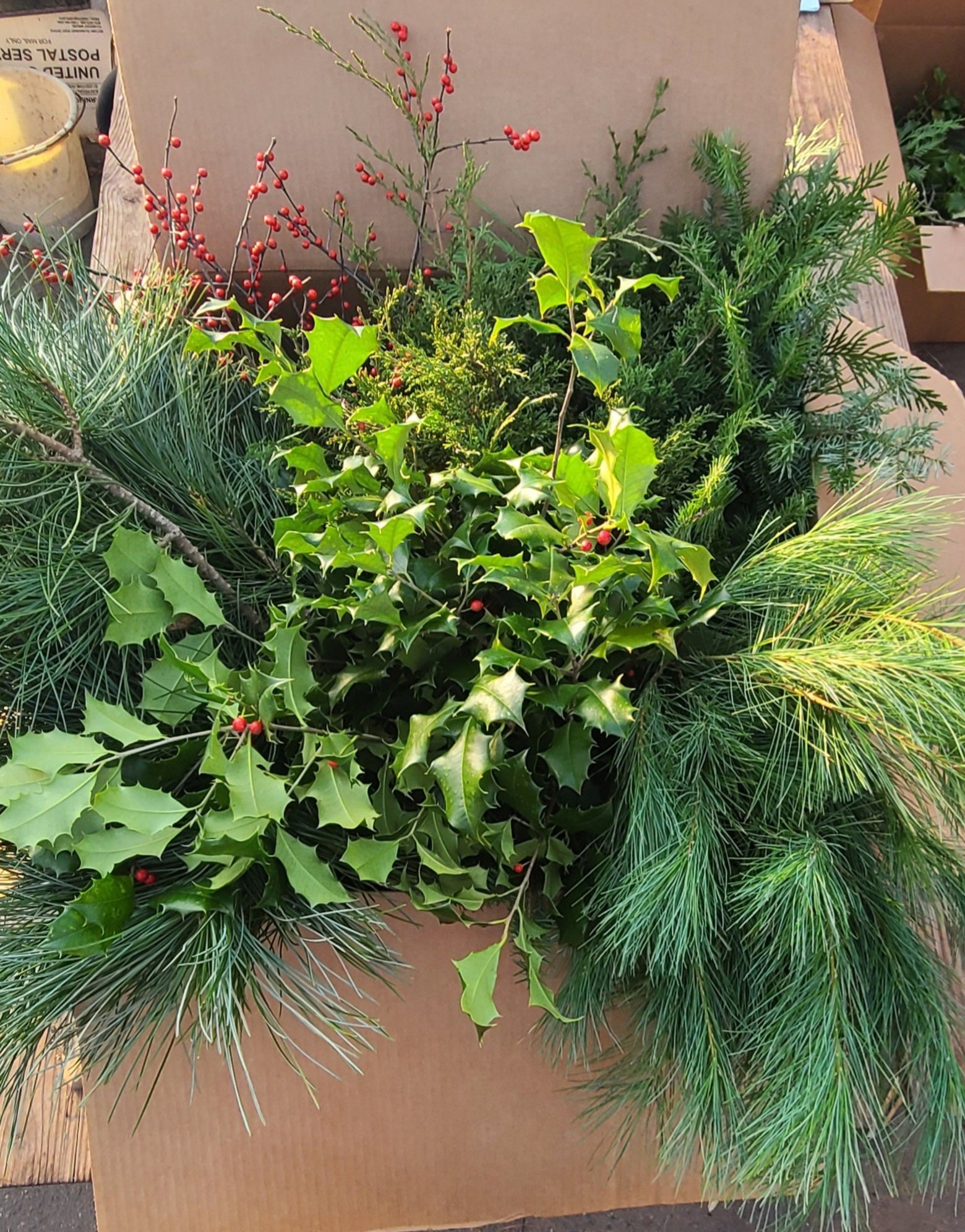 Mixed Fresh Evergreen Bundle - Etsy