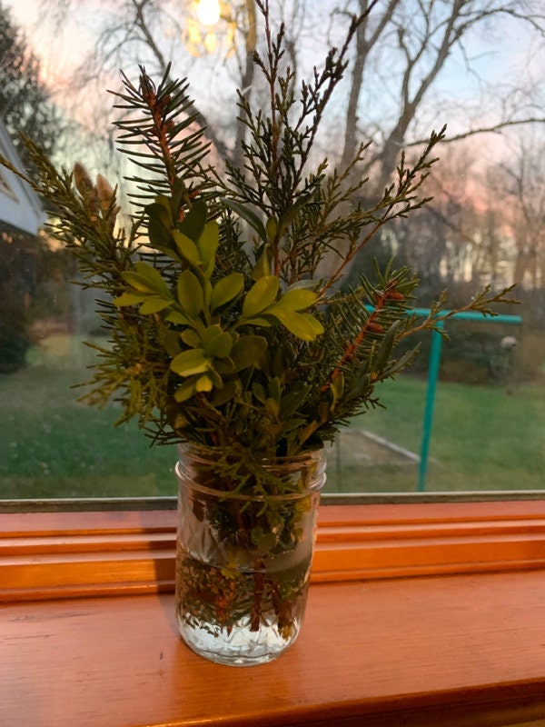 Mixed Fresh Evergreen Bundle - Etsy