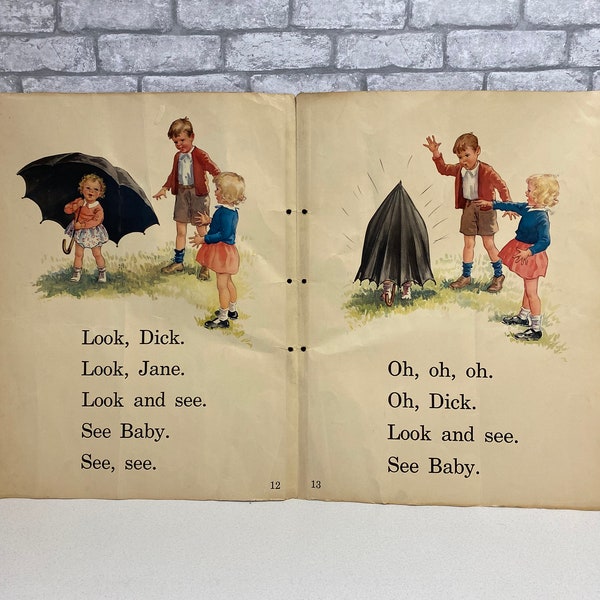 Jane and Dick Book - Etsy