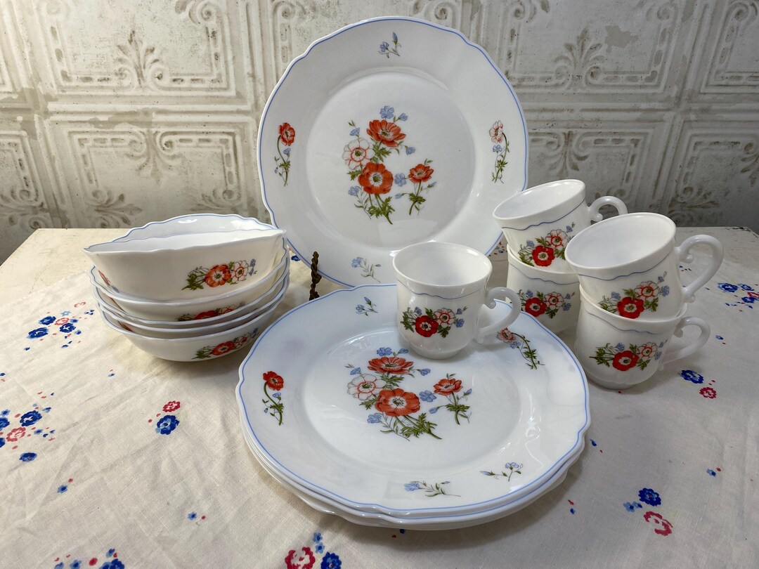 Vintage Arcopal France Paradise Dinnerware, Set of 15 Pieces, 5 Plates ...