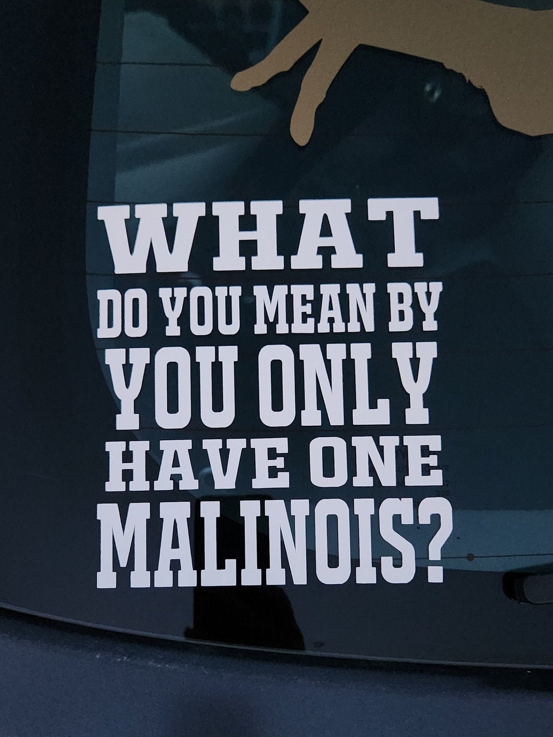 Malinois Sticker 2 Sizes Available - Etsy