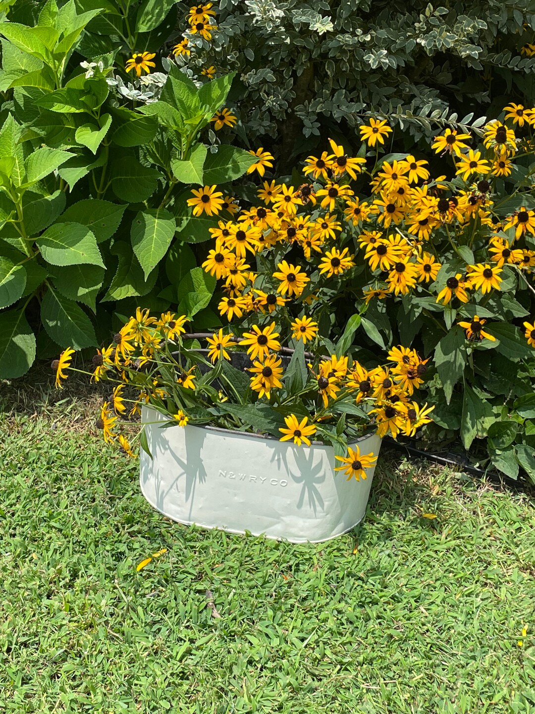 Vintage Galvanized Bucket Railroad Coal Bucket N&W Railway Co - Etsy