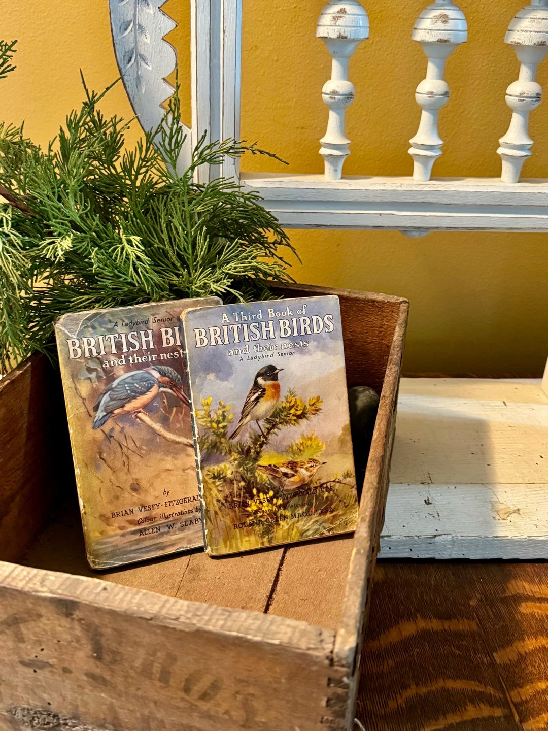 Vintage Bird Books Set of 2 British Birds and Their Nests A Ladybird ...