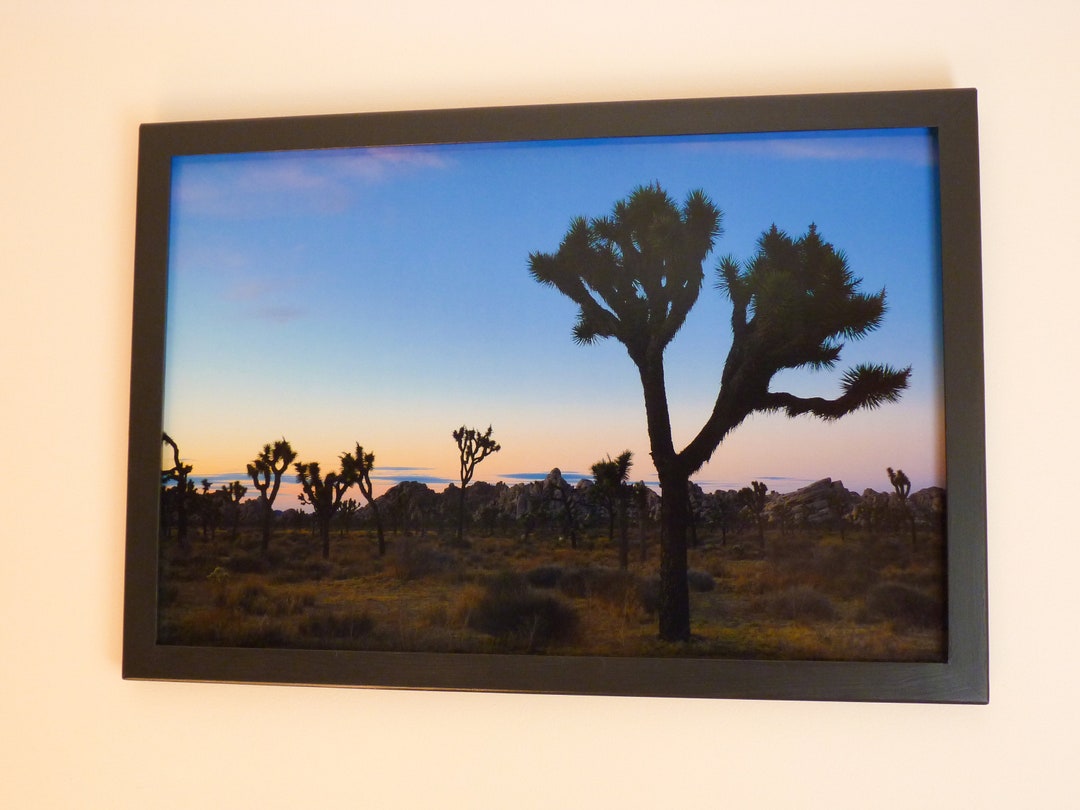 Joshua Tree National Park Sunset Landscape Photography - Etsy