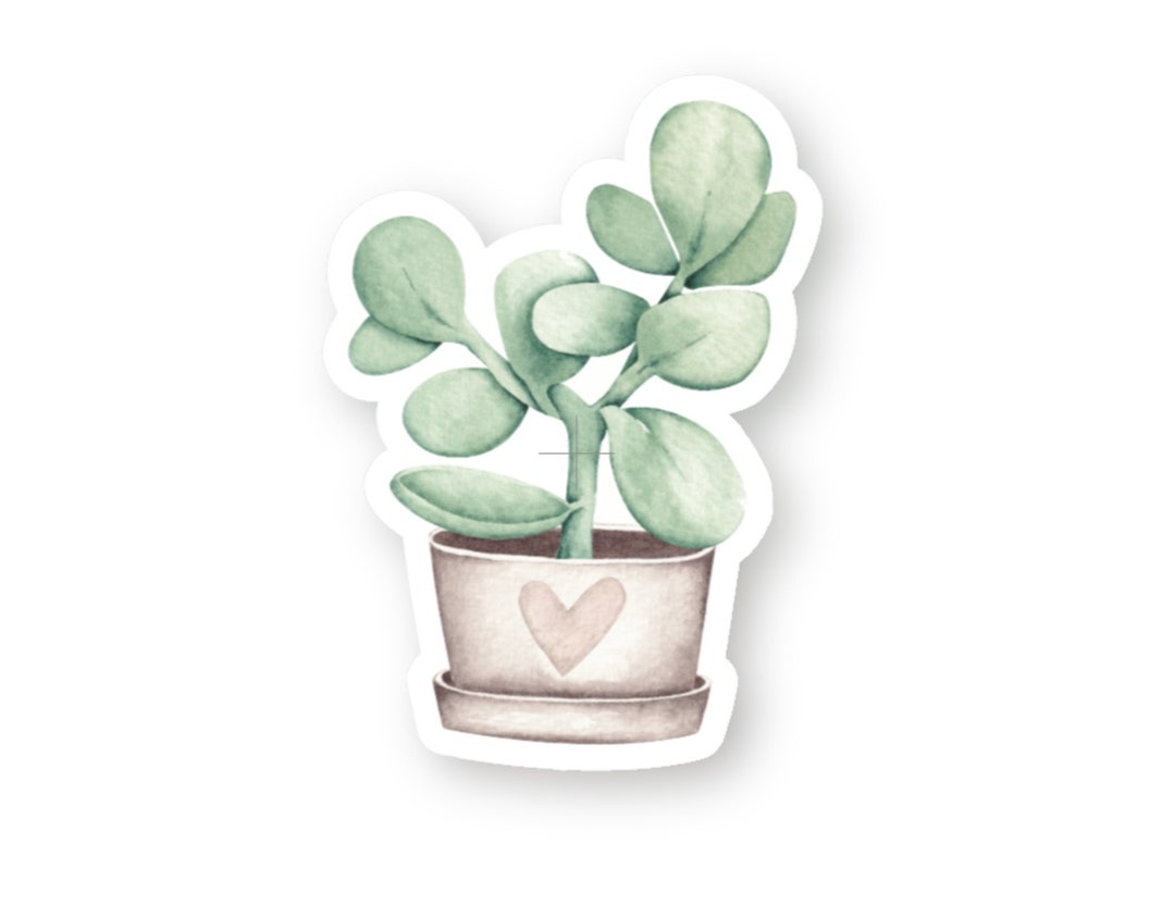 Succulent Sticker Waterproof Sticker Watercolor Sticker - Etsy